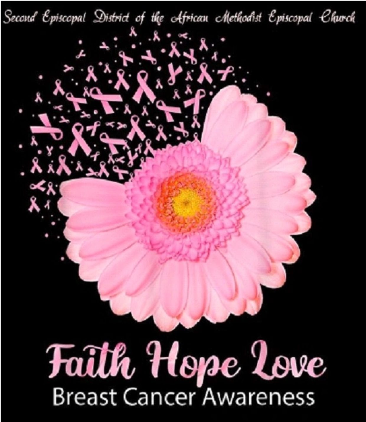 Breast Cancer Awareness Fairview Ame Church